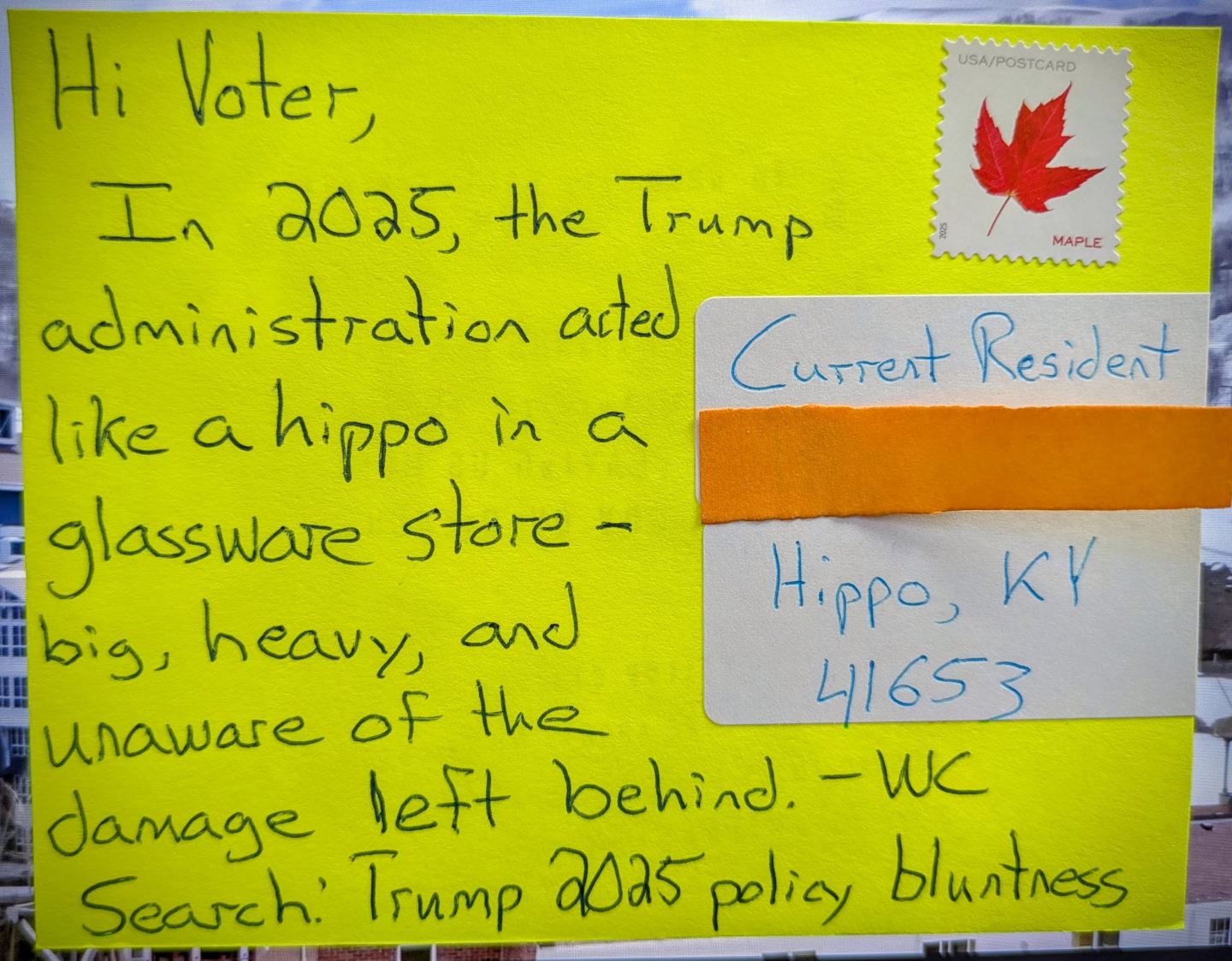 Hippo, KY #034 – T W I W C